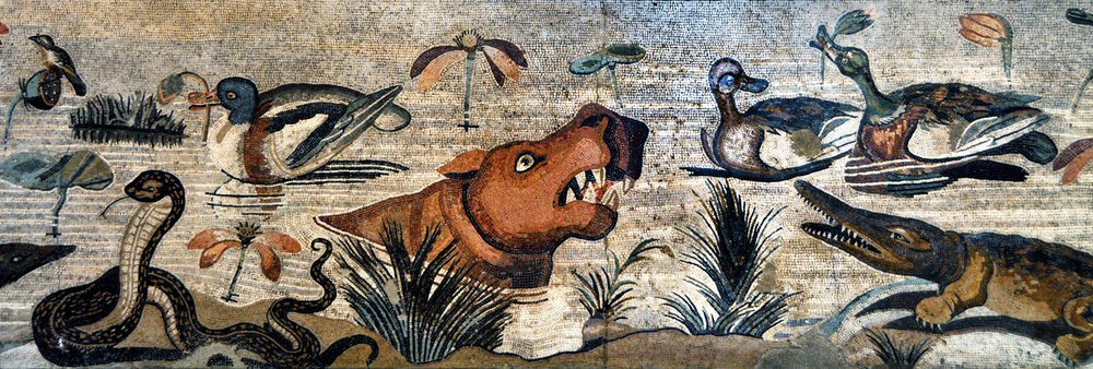 Roman Art Animal Sad The Foolishness Of The Cross Book 2025 Holy