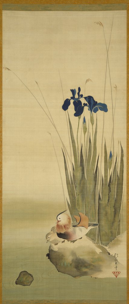 Iris and Mandarin Ducks by Sakai Hoitsu: Fine art print