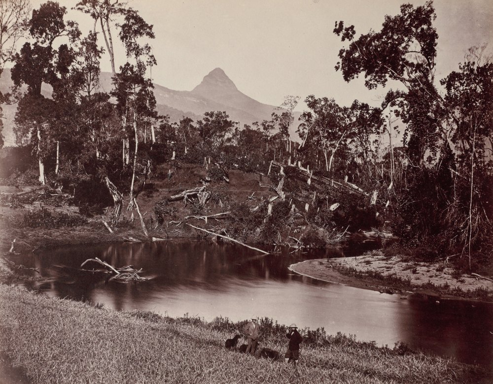 Ceylon Views to Adam's Peak by Samuel Bourne