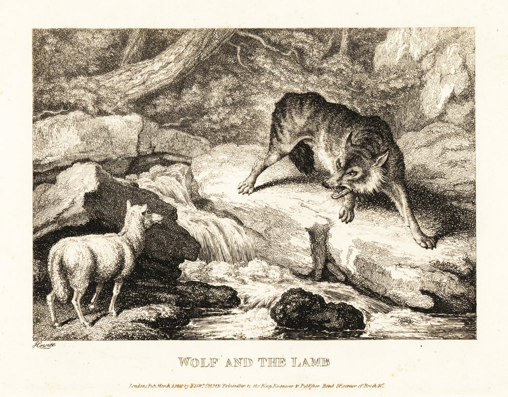 A wolf trying to justify killing a lamb near a river