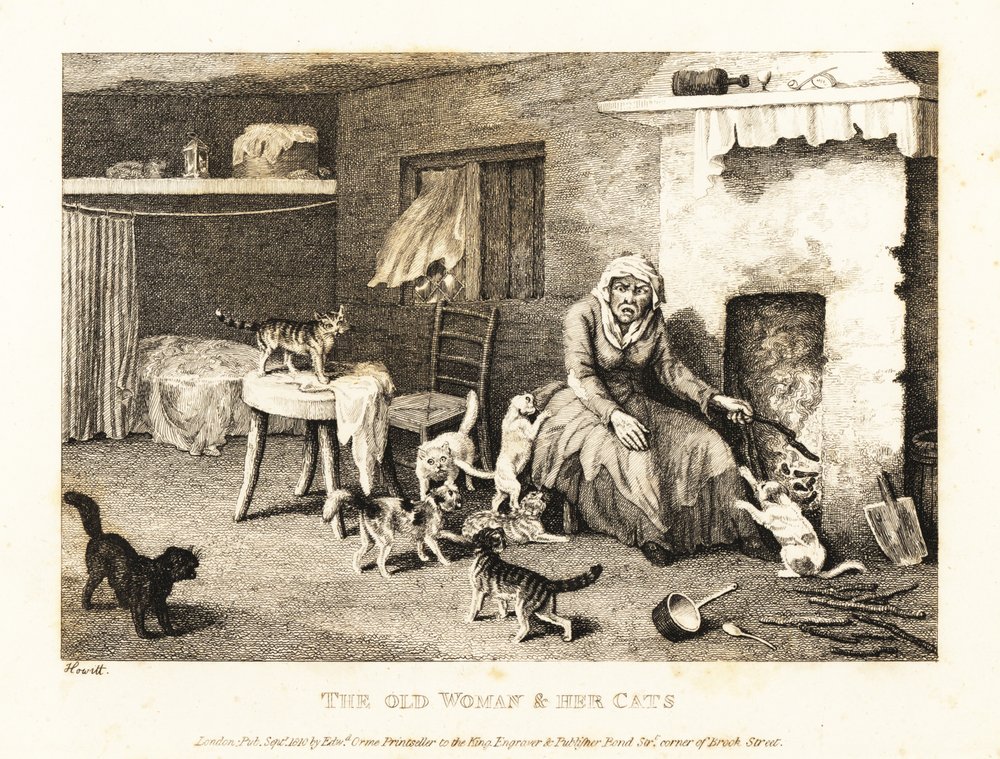 Old hag seated at the hearth in a hovel surrounded by cats