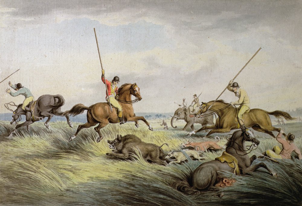 The Hog Chase - The Kill, from 'Orme's Collection of British Sporting ...