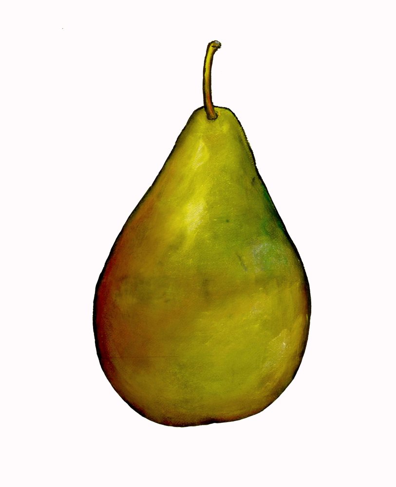 Pear by Sarah Thompson Engels: Buy fine art print