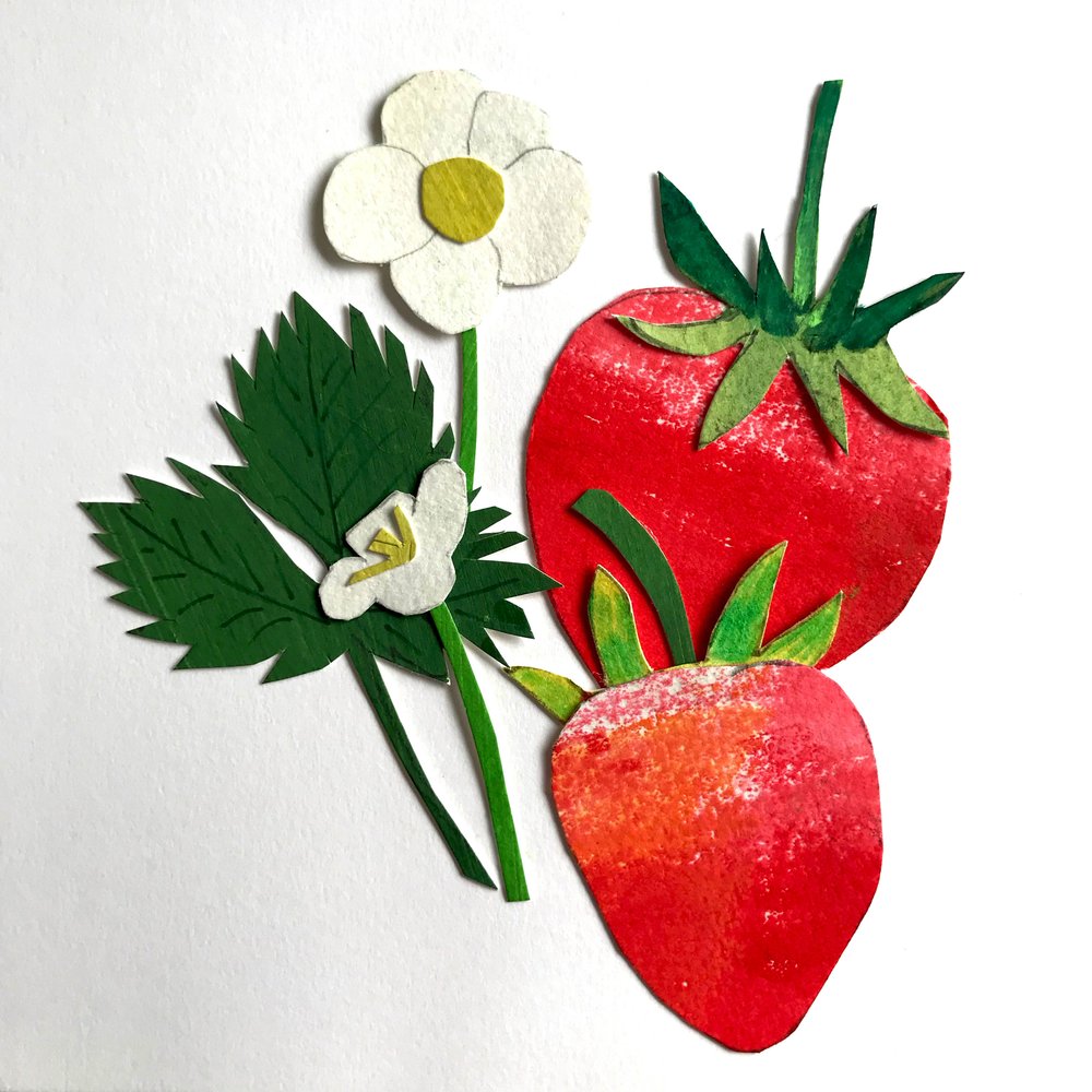 Strawberries by Sarah Thompson Engels: Buy fine art print