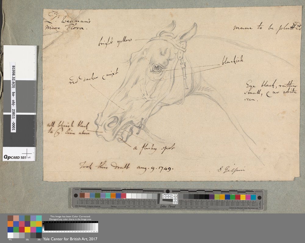 Lord Wennan's Mare Flora by Sawrey Gilpin: Fine art print