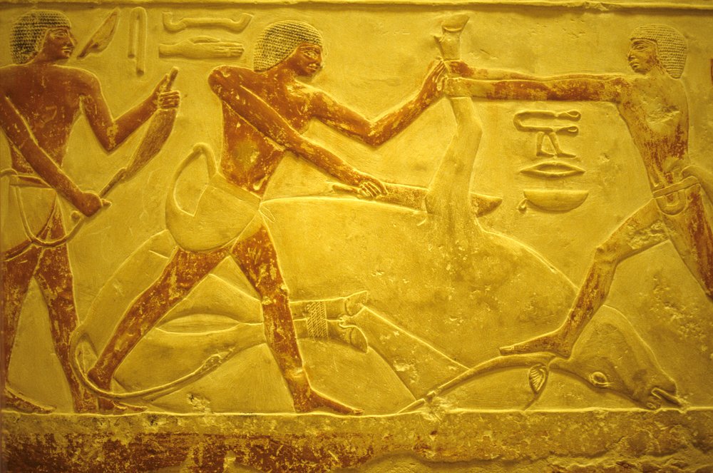 Ancient Egypt, Wall carving/painting, Mastaba/Tomb of Idout, Saqqara ...