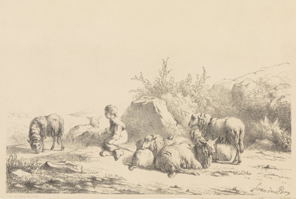 Shepherd and Sheep by Simon van den Berg: Fine art print