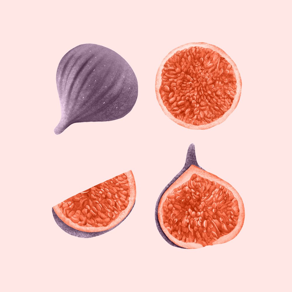 Figs by Stacy Hsu: Highest-quality art reproduction