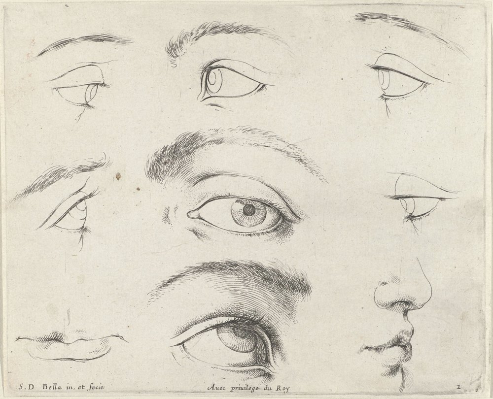 Seven Eyes, Two Mouths, and a Nose (The Principles of Drawing)