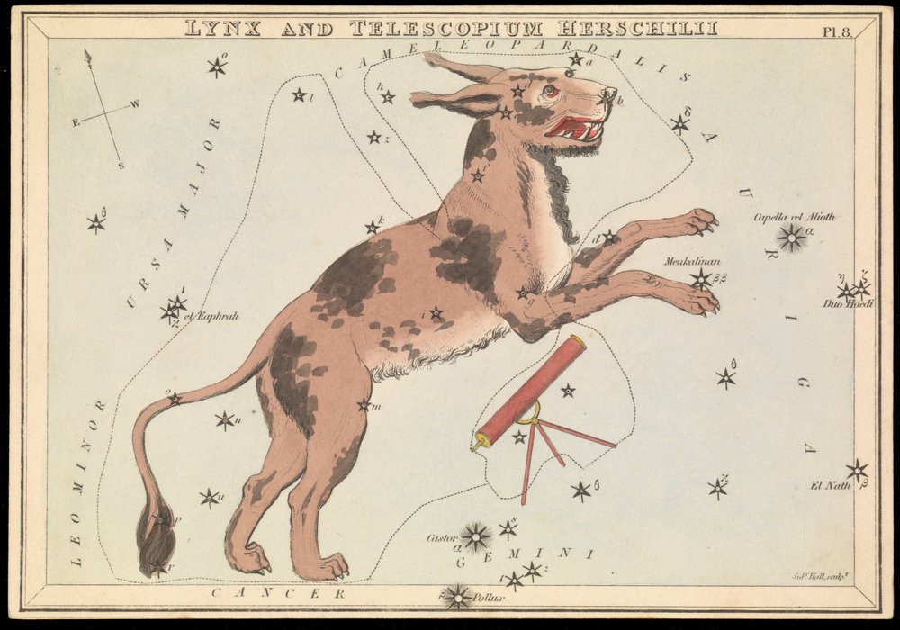 Lynx and Telescopium Hereschilii, c.1825 by Sydney Hall