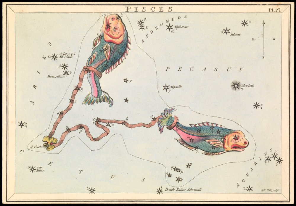 Pisces, c.1825 by Sydney Hall: Buy fine art print