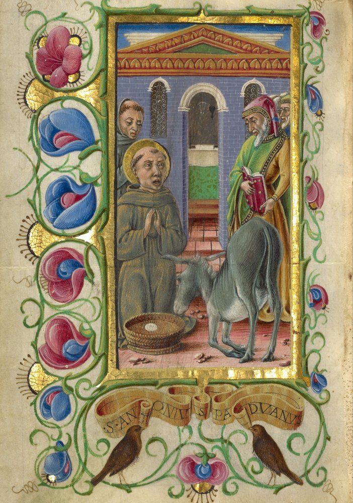 Saint Anthony of Padua by Taddeo Crivelli: Fine art print