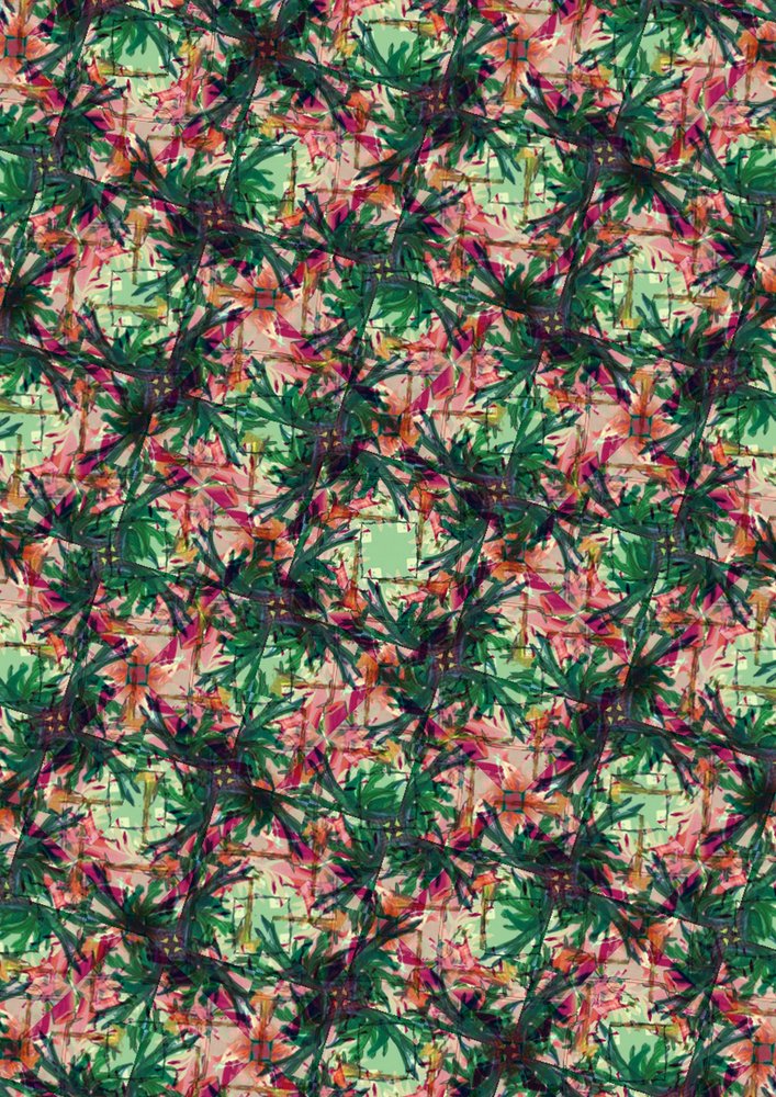 Tropical Palm by Tara Whitehead: Buy fine art print