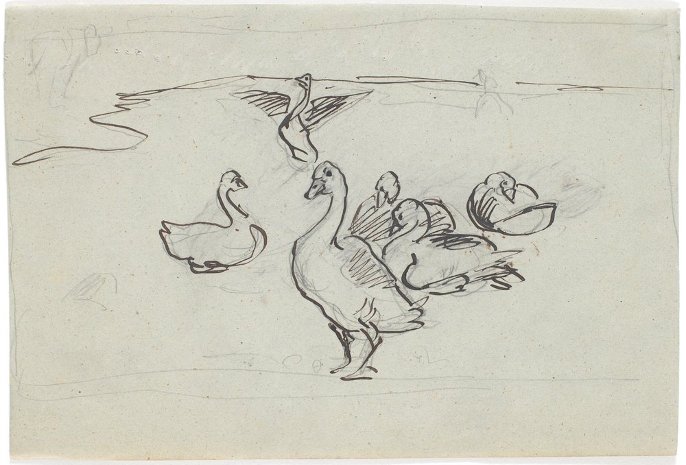 Study of Geese by Theodor Philipsen: Buy fine art print