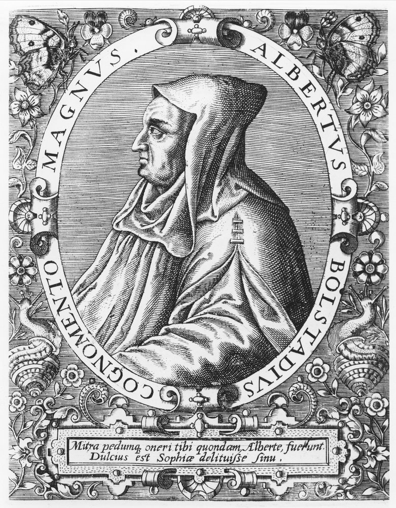 Albertus Magnus by Theodore de Bry: Buy fine art print