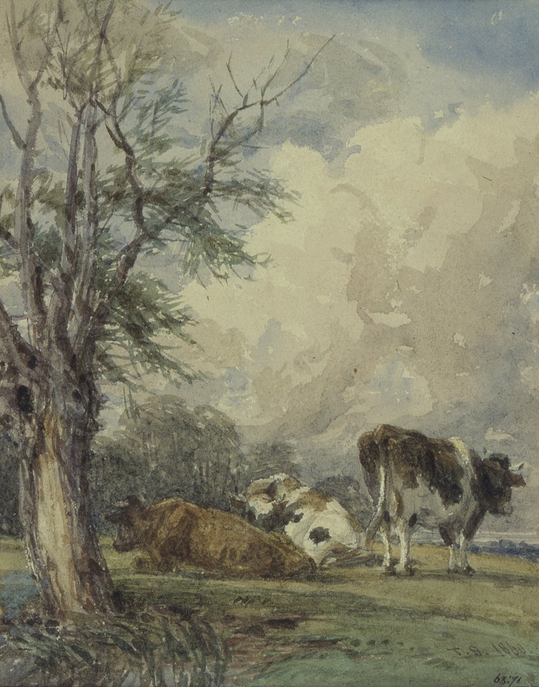 A Study of Cattle by Thomas Baker: Buy fine art print