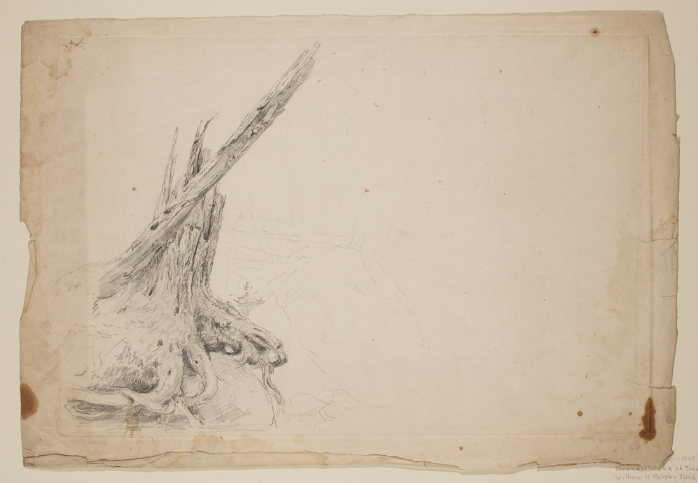 Broken Trunk of a Tree by Thomas Cole: Buy fine art print