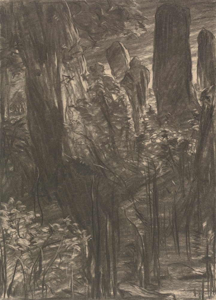 A Grove of Trees by Thomas Dalziel: Buy fine art print