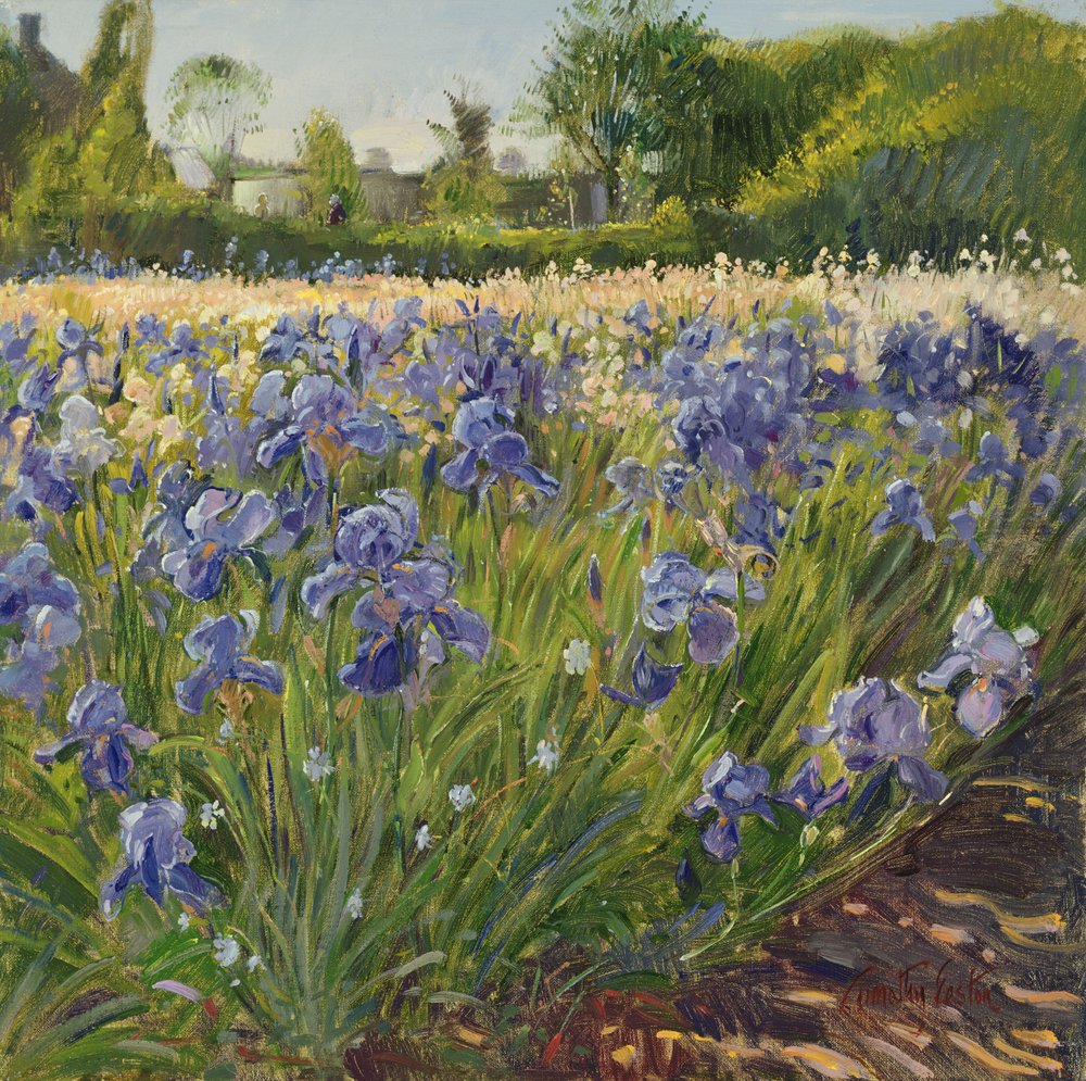 Above the Blue Irises by Timothy Easton: Fine art print