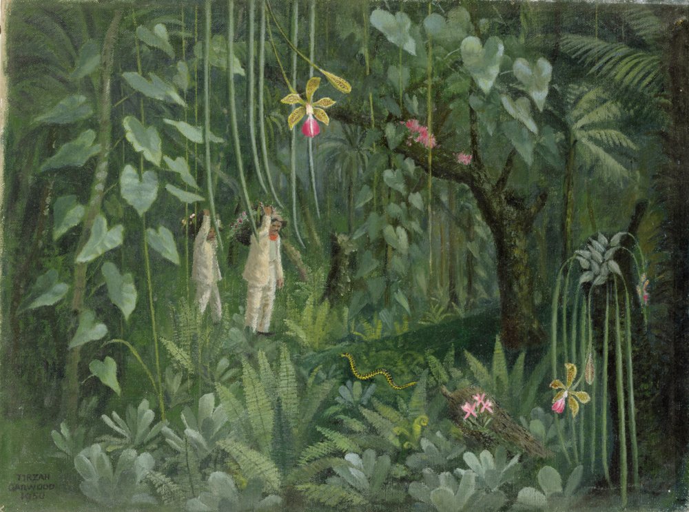 Orchid Hunters of Brazil by Tirzah Ravilious: Fine art print