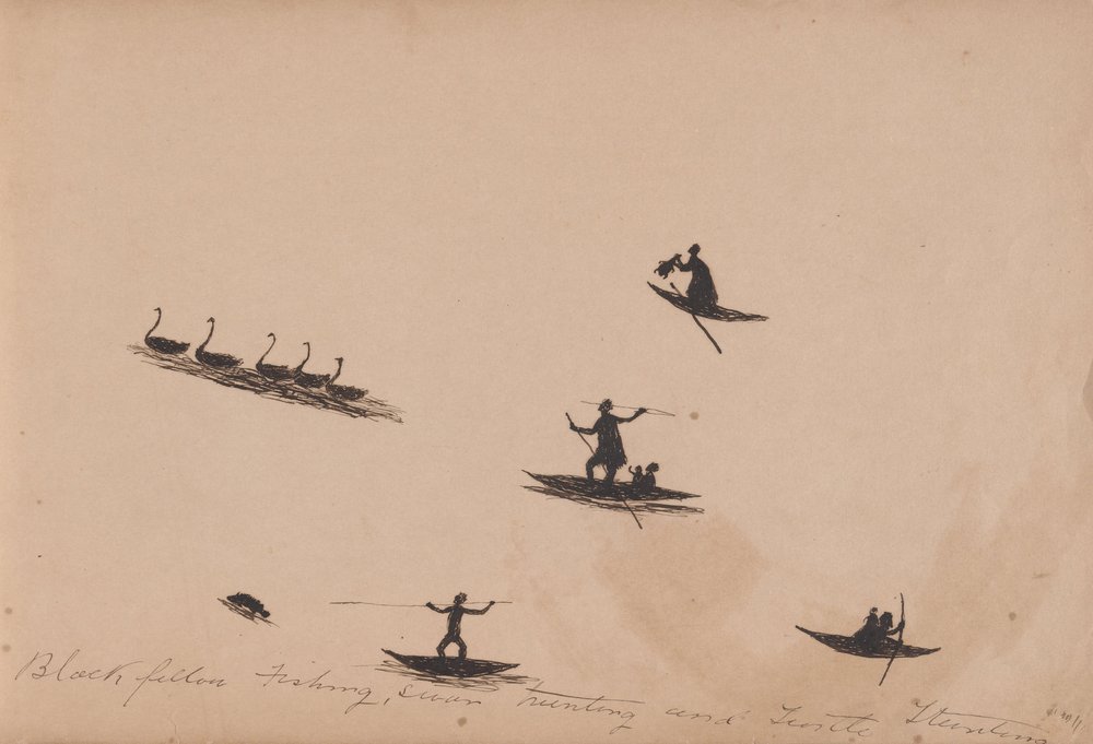 Black Fellows Fishing, Swan Hunting and Turtle Hunting