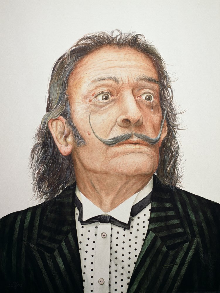 Dali by Trevor Neal: Highest-quality art reproduction