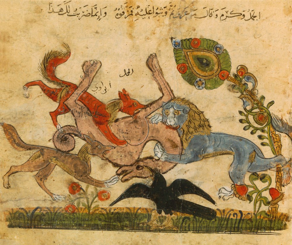Lion Beats a Camel, Kalila Wo-Dimna, Arabic-Spanish Fairy Tale Book