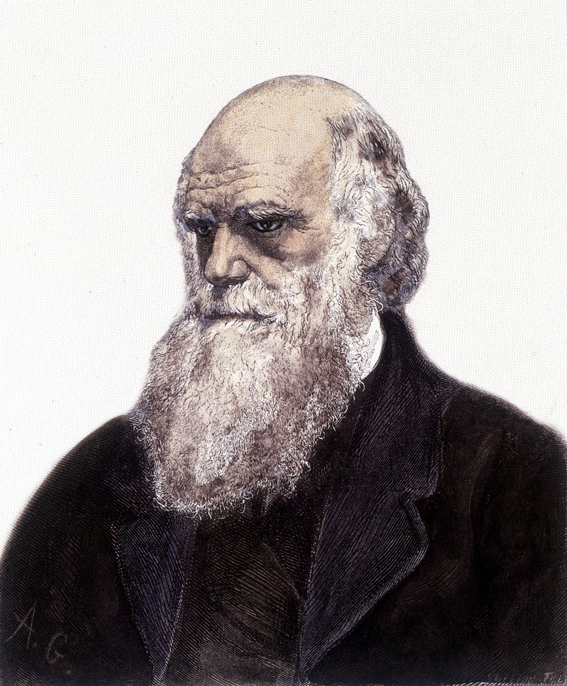 Portrait of Charles Robert Darwin, British Naturalist (1809-1882)