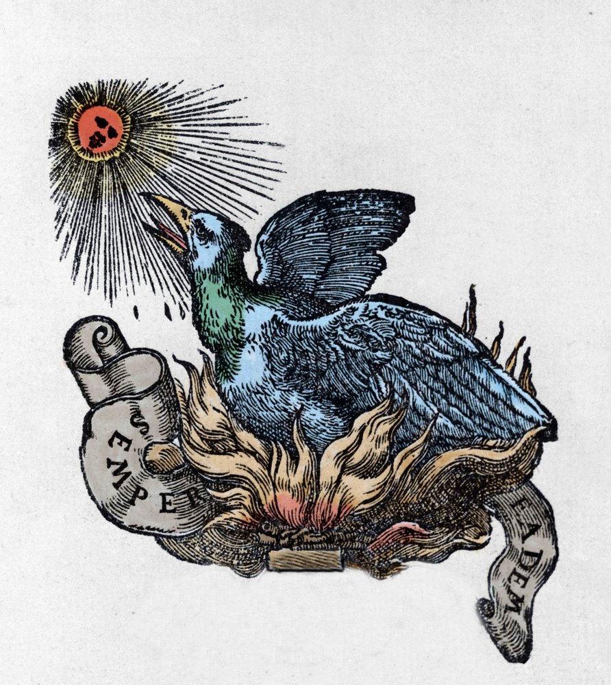 Representation of a Phoenix, Legendary Bird Reborn from Its Ashes ...