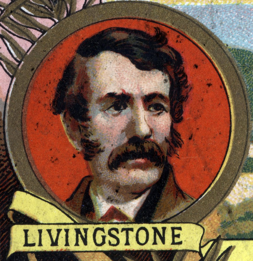 Portrait of David Livingstone (1813-1873) Scottish missionary and ...