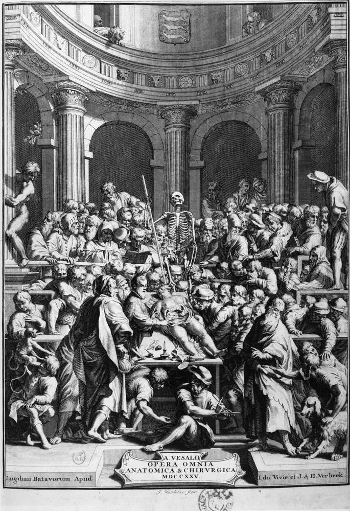 André Vésale (1514-1564), founder of modern anatomy, teacher of anatomy ...