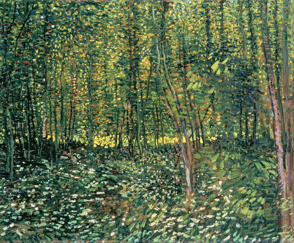 Trees and Undergrowth, 1887 by Vincent van Gogh