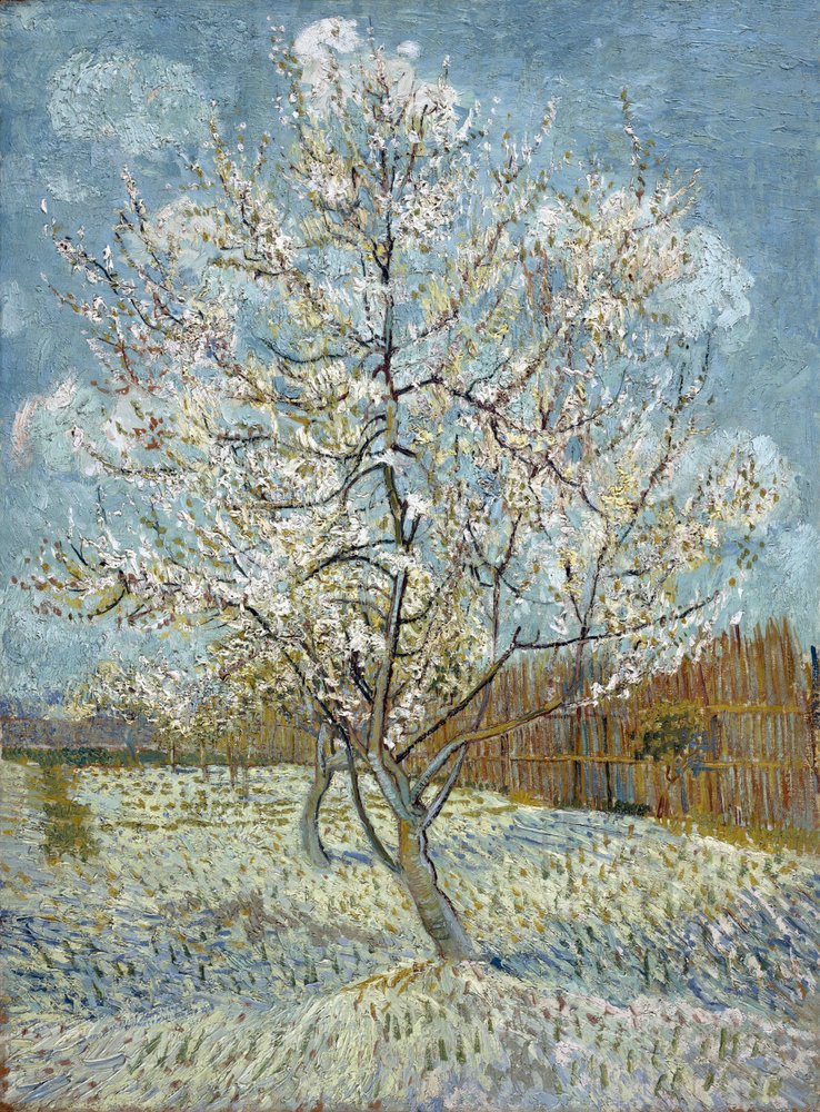 The Pink Peach Tree by Vincent van Gogh: Fine art print