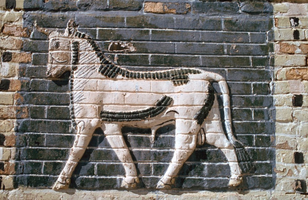 Bull, glazed bricks, Ishtar Gate, Babylon, Iraq