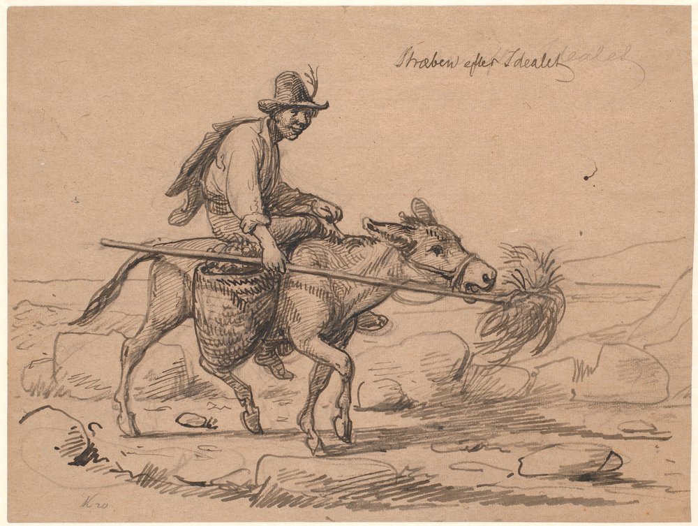 Striving for the ideal. Italian donkey rider drives the animal forward ...