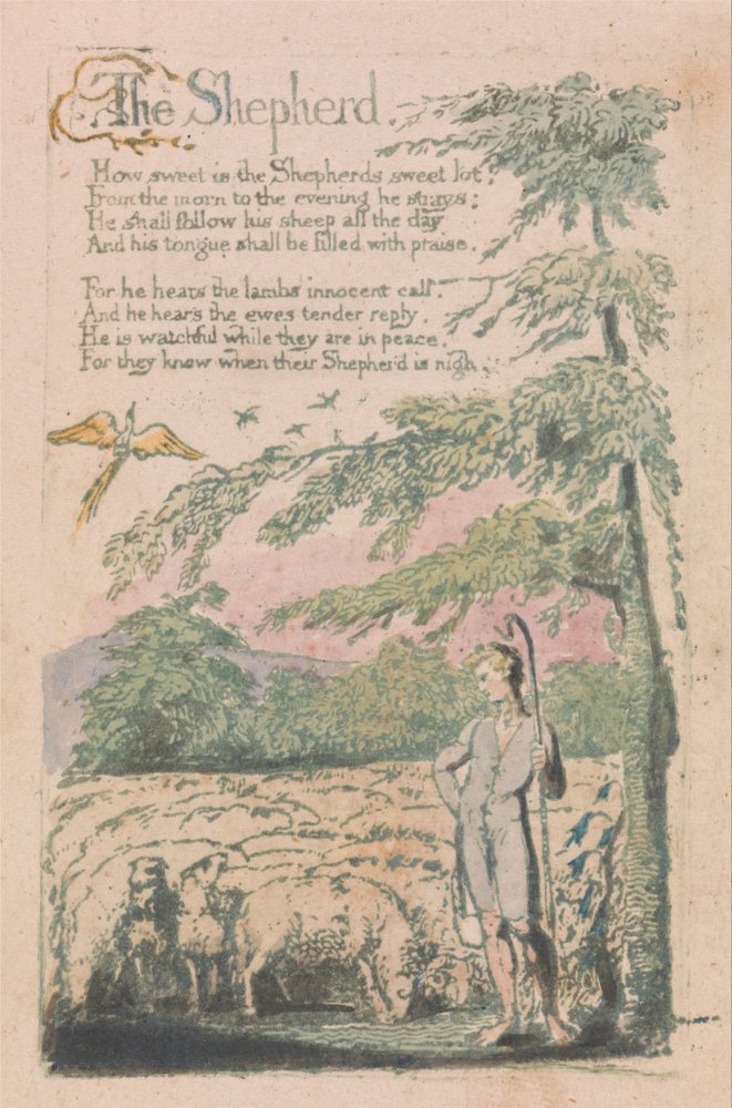 Songs of Innocence and of Experience, Plate 4, The Shepherd (Bentley 5)