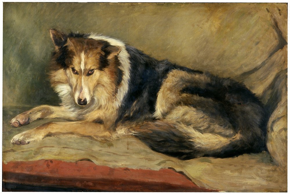 Collie Dog by William Henry Charlton: Buy fine art print