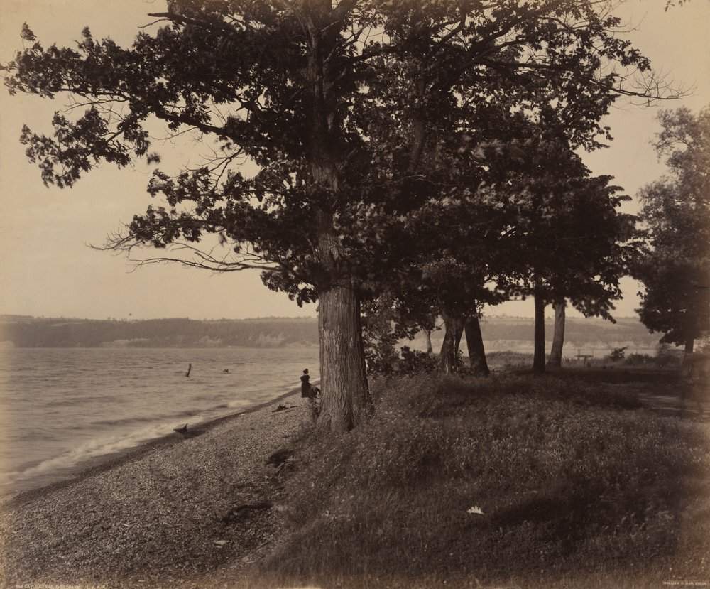 Cayuga Lake, Sheldrake by William Herman Rau