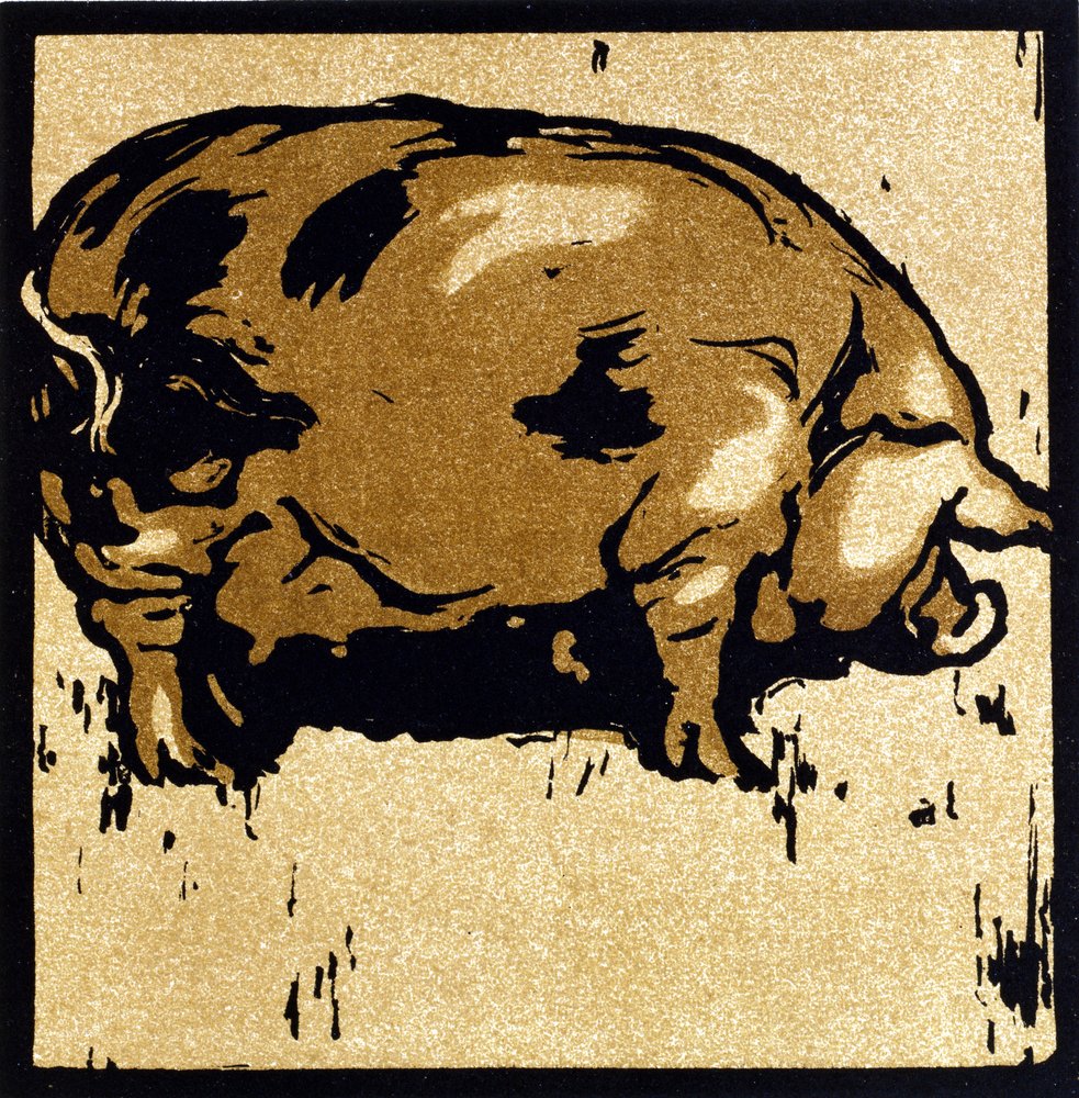 The Learned Pig, from 'The Square Book of Animals', published by ...