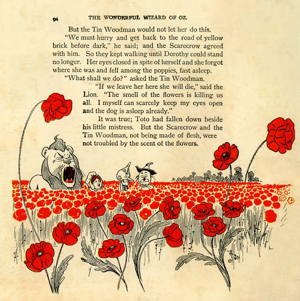 The Wonderful Wizard of Oz - Chapter VIII: The Deadly Poppy Field - Illustration by William ...