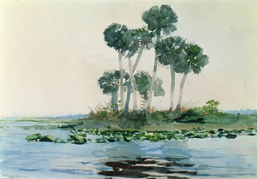 St. John's River, Florida by Winslow Homer: Fine art print