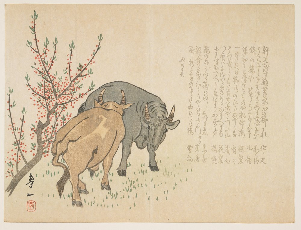 Oxen by Yoshimura Kiitsu: Highest-quality art reproduction