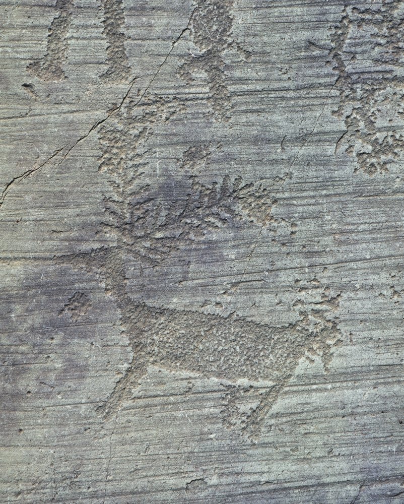 Petroglyphs on Rock by Isabel Redie: Buy fine art print
