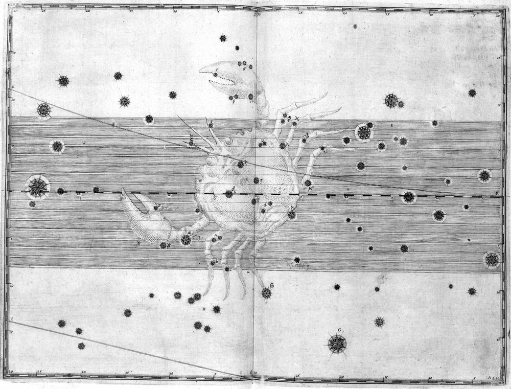 The constellation Cancer by Frederick (attr. to) Barnard