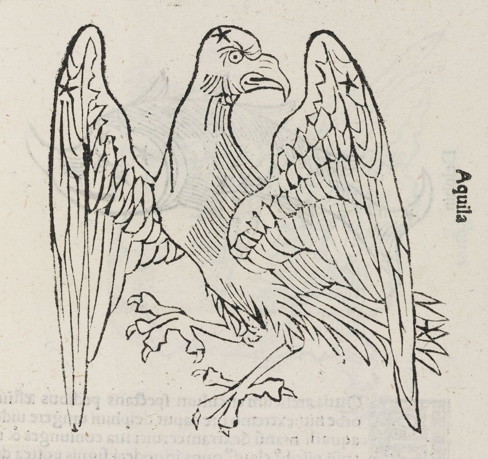 The Constellation of Aquila by John Pardon: Fine art print