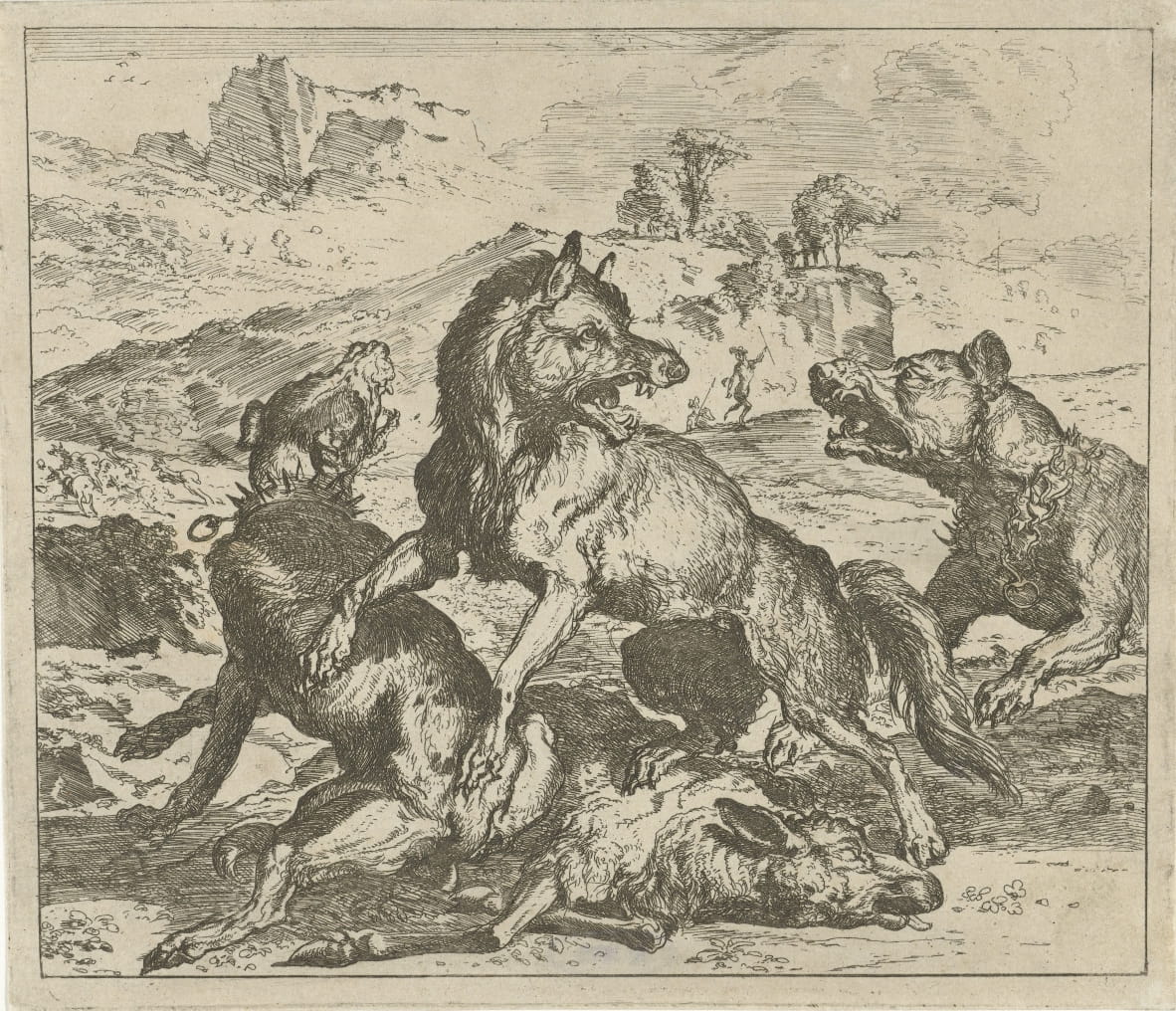 Wolf attacked by dogs Different animals (series title)