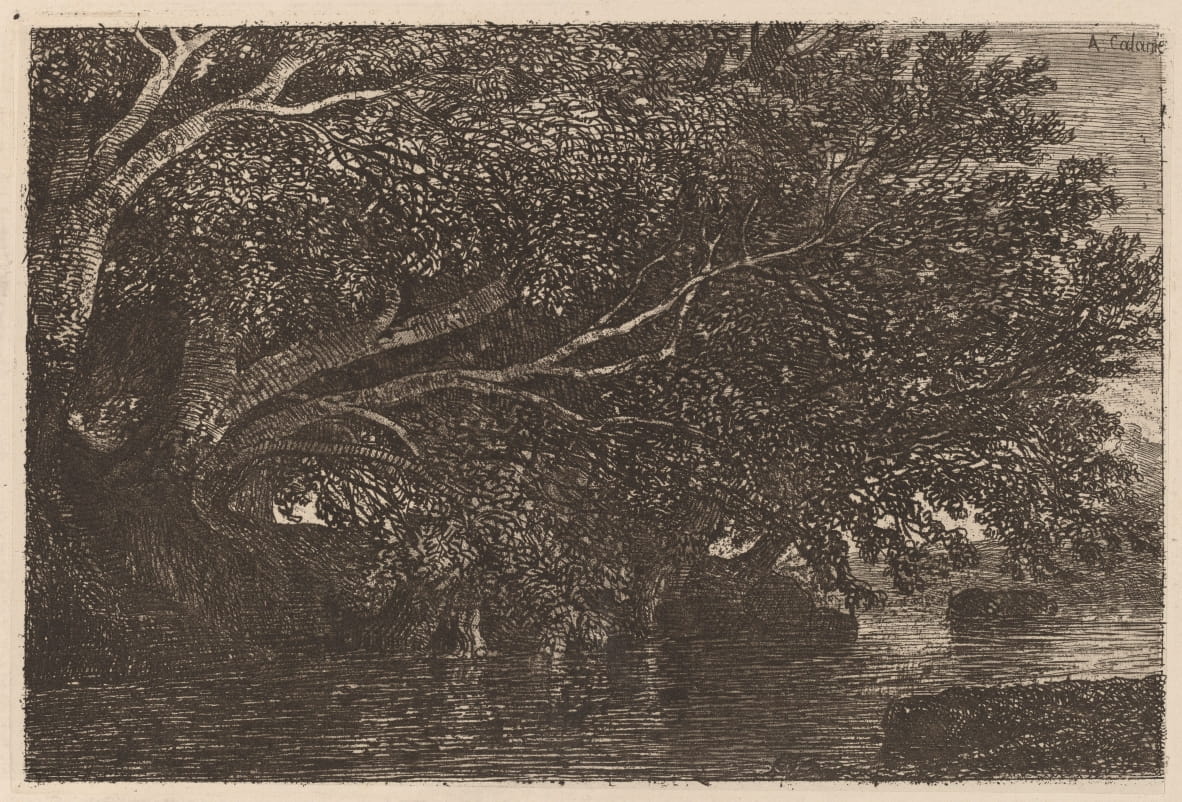 Trees Overhanging a Pond by Alexandre Calame