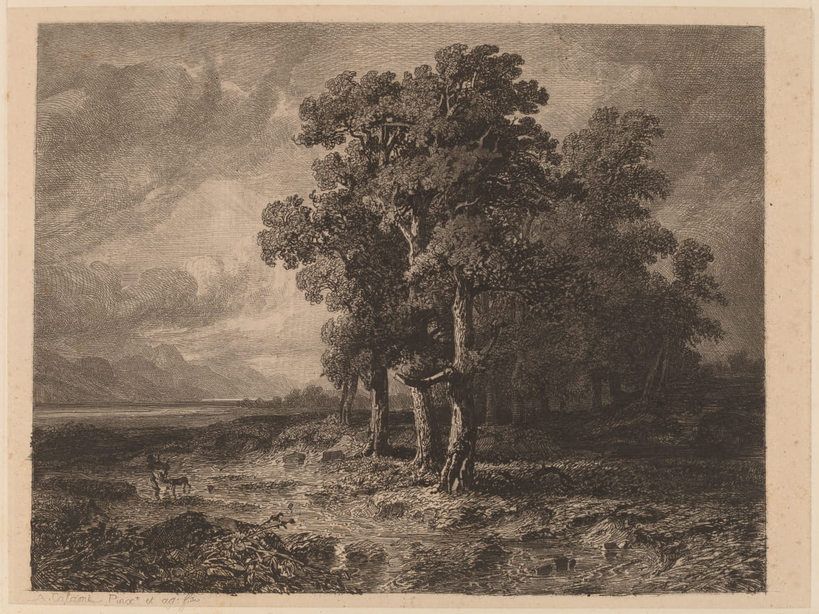 Trees in a Storm by Alexandre Calame: Buy fine art print