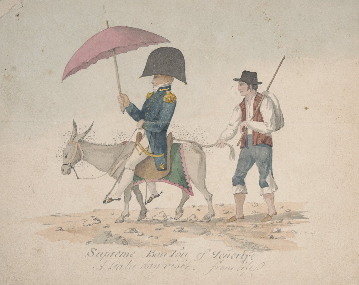 Supreme Bon Ton of Tenerife by Alfred Diston