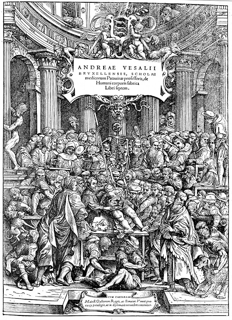 The title page of the human body, Vesalius& Fabrica drawing showing ...